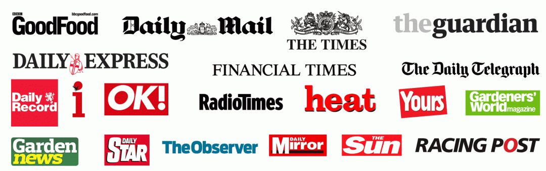 Newspapers banner - Newsteam Group